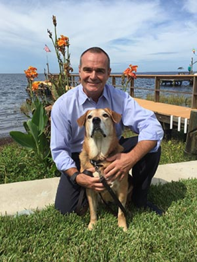 A TCVM approach to Skin Disease - American Journal of Traditional ...